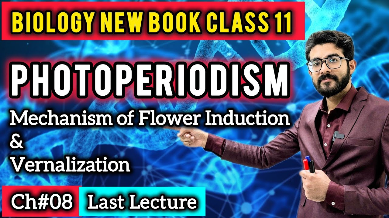 Photoperiodism: Mechanism of Flower Induction & Vernalization | Class ...