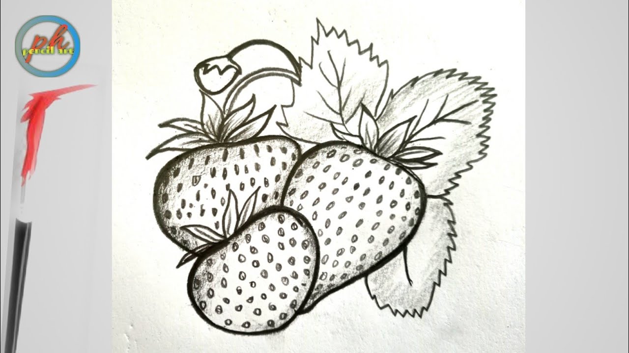 Easy Strawberry Drawing for Beginners | How to draw a cute strawberry ...