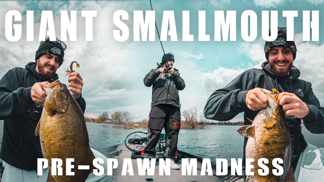 GIANT PRE-SPAWN SMALLMOUTH (MY BEST DAY YET???) - YouTube