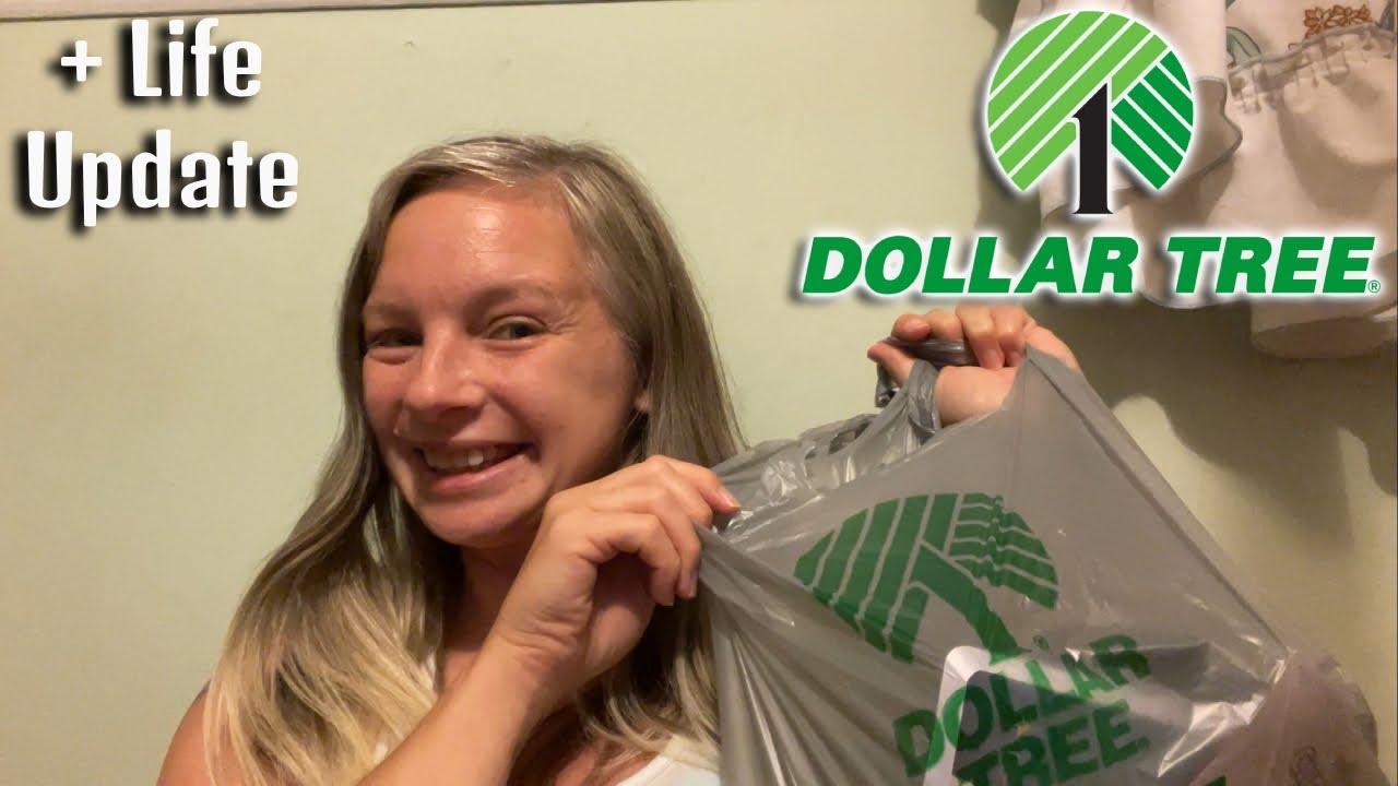 Dollar Tree + Life Update - YouTube