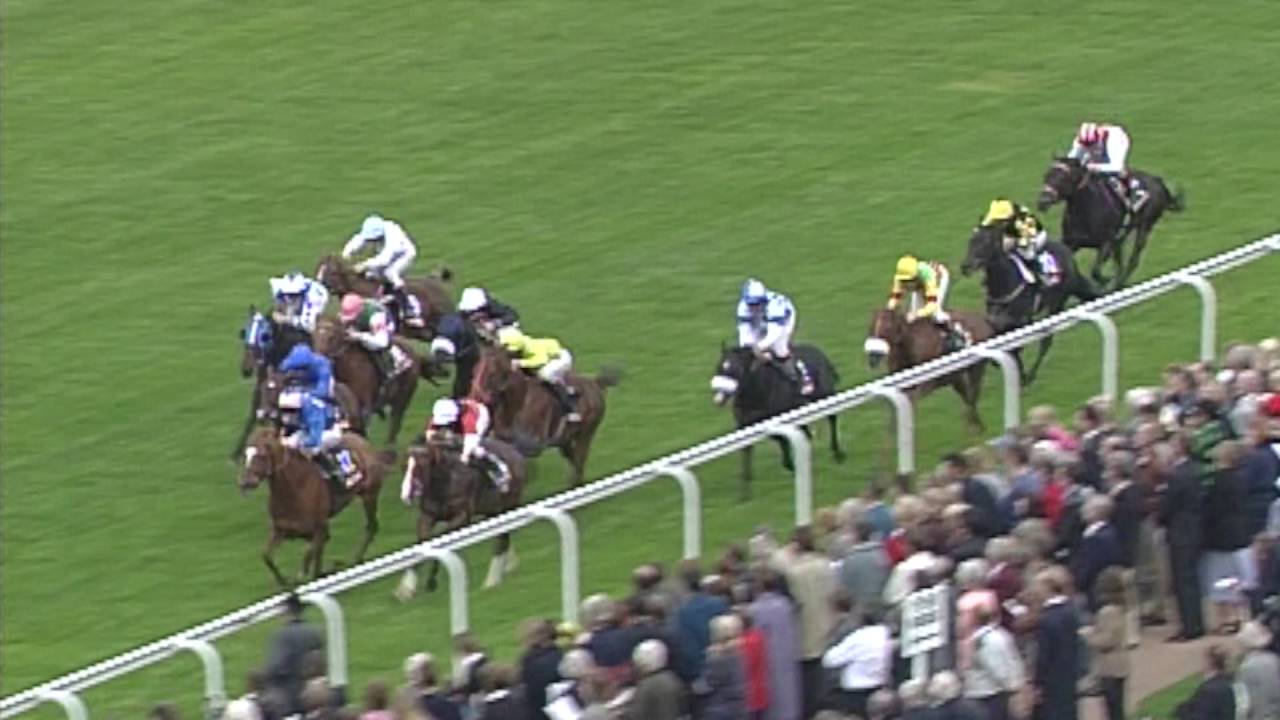 Magnificent 7 - Race 2 DIFFIDENT - YouTube