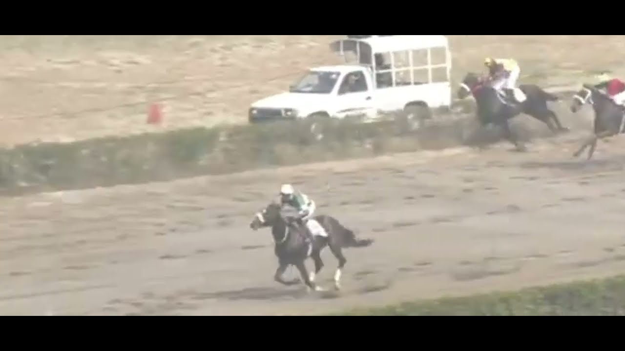 1st Race 900 Meter Winner Rayyan Prince| Ridden By Jockey Awais Anjum ...