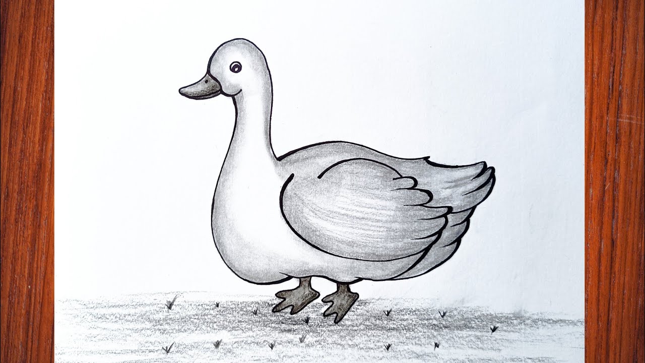 Duck easy drawing/ Easy duck 🦆 drawing tutorial - YouTube