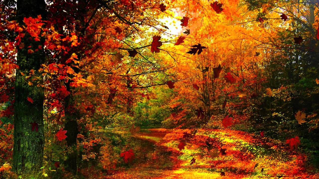 ASMR Guided Autumn Relaxation [gentle voiced] - YouTube