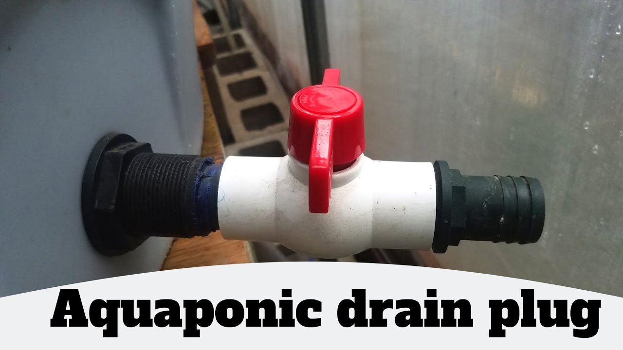 How to install a drain plug for aquaponics (Hybrid aquaponic system ...