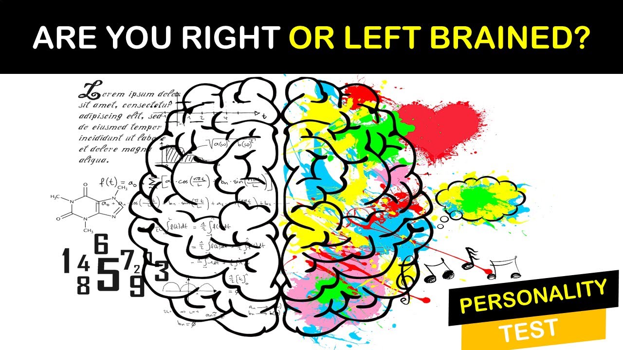 Left Brain Right Brain Personality Test. Check Which Side of Your Brain ...