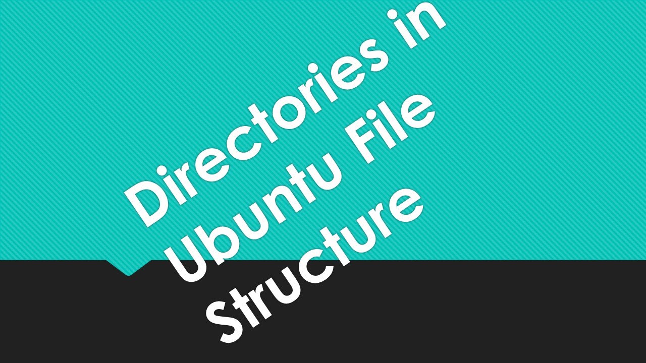 Understanding Common Directories in the Ubuntu File System | A ...