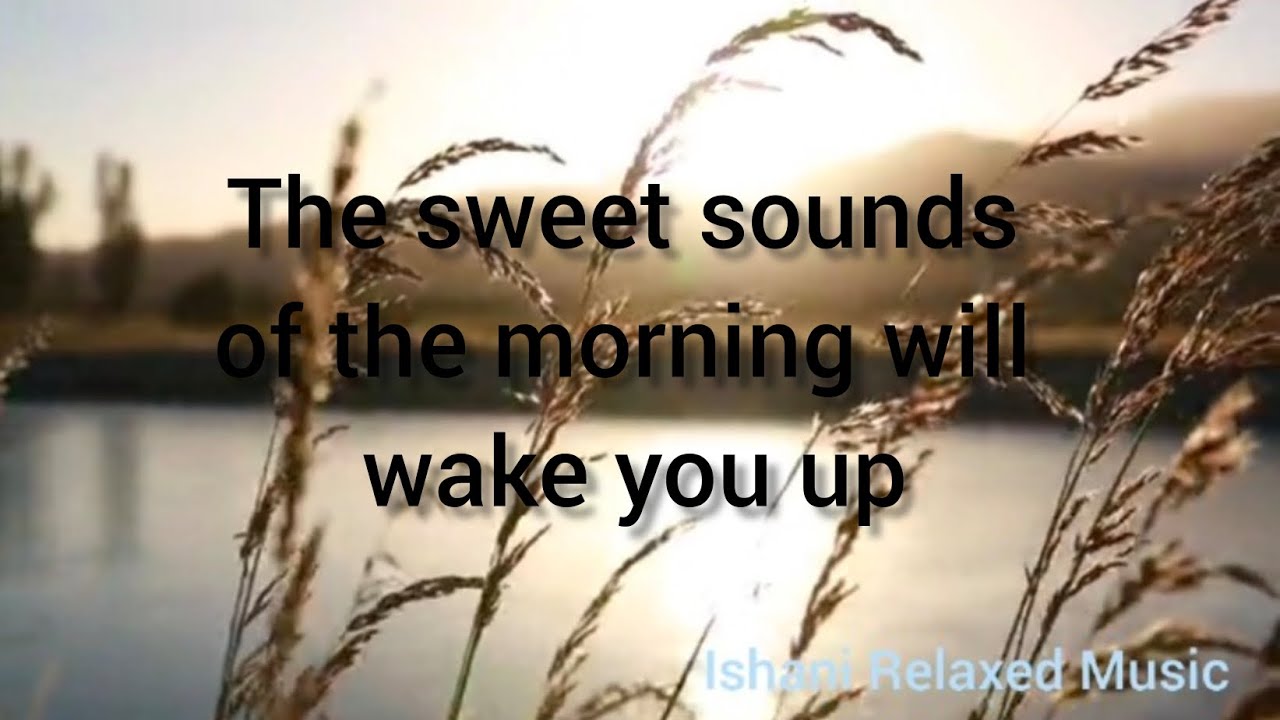 The sweet sounds of the morning will wake you up. Listening the music ...