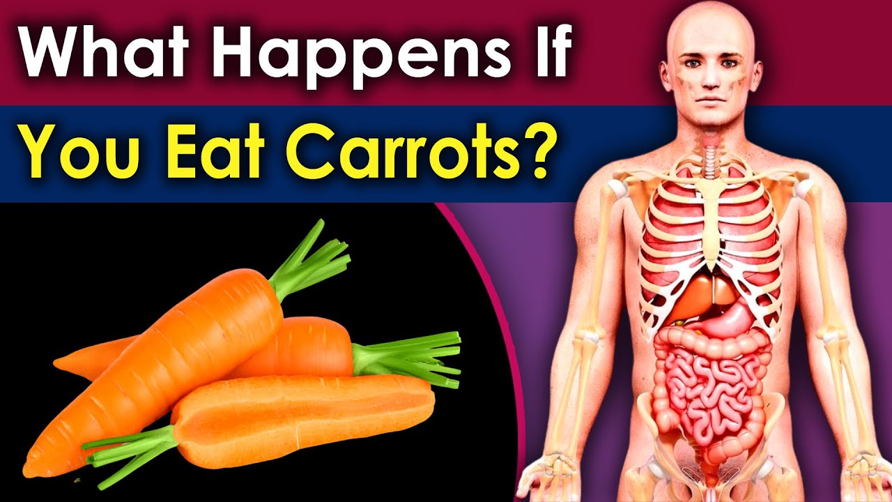 What Happens to Your Body If You Eat Carrots Every Day? - YouTube