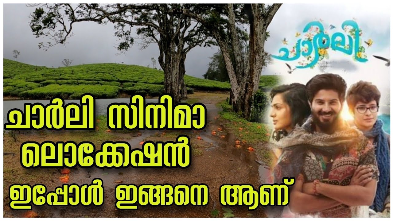 Charlie Movie location | Landram Estate | Vagamon Tourism Attractions ...