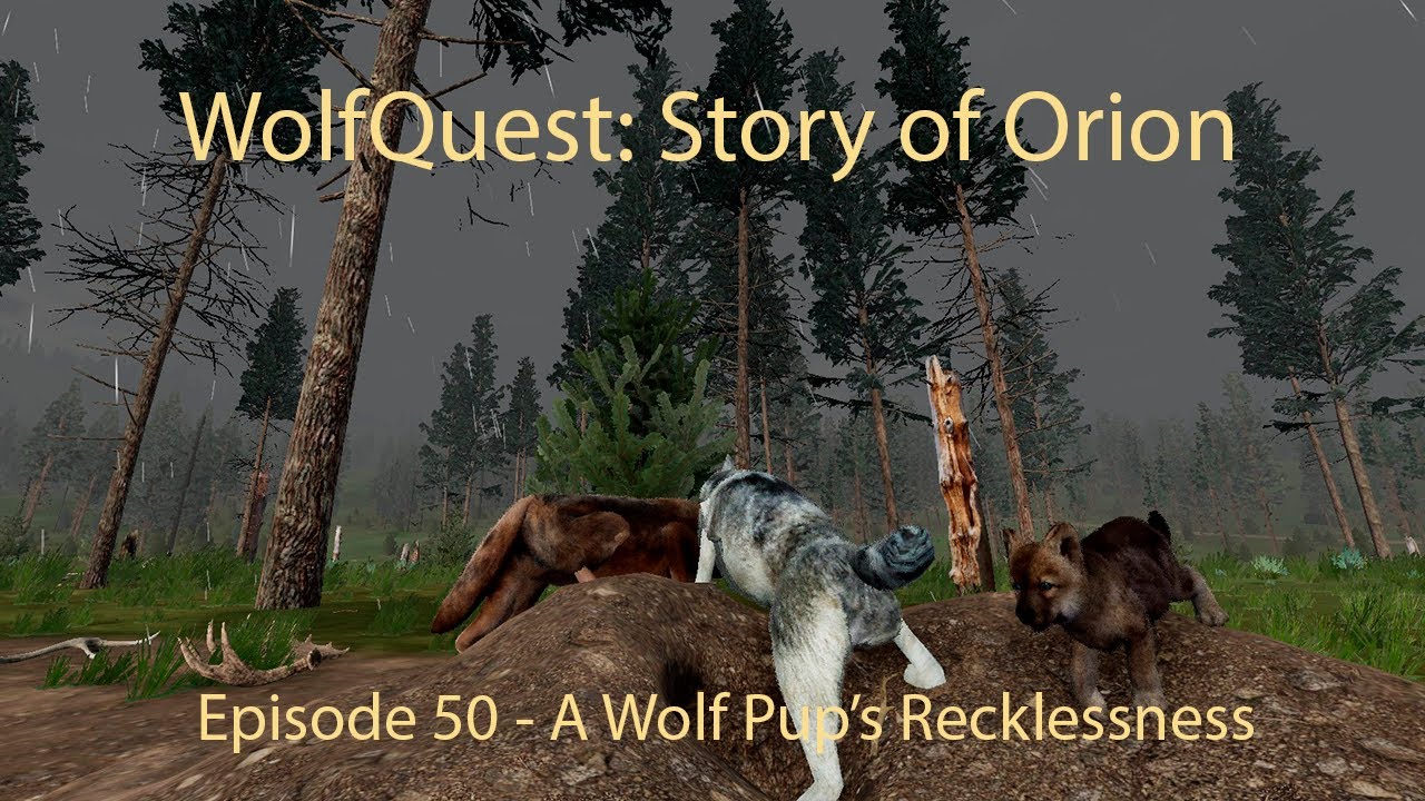 Story Of The Orion Episode 50 - A Wolf Pup's Recklessness - YouTube
