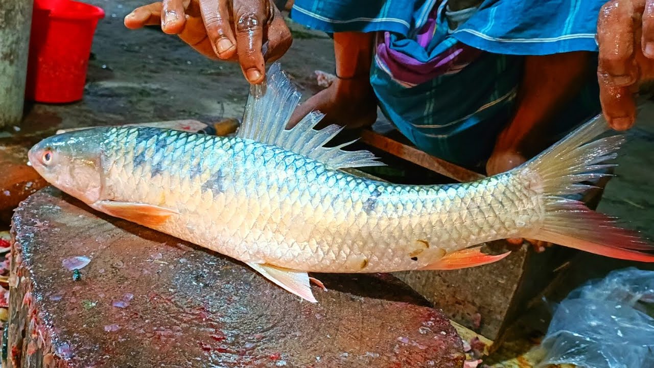 Amazing Mrigal Fish cutting Video Live In Fish Market|Mrigal Fish ...