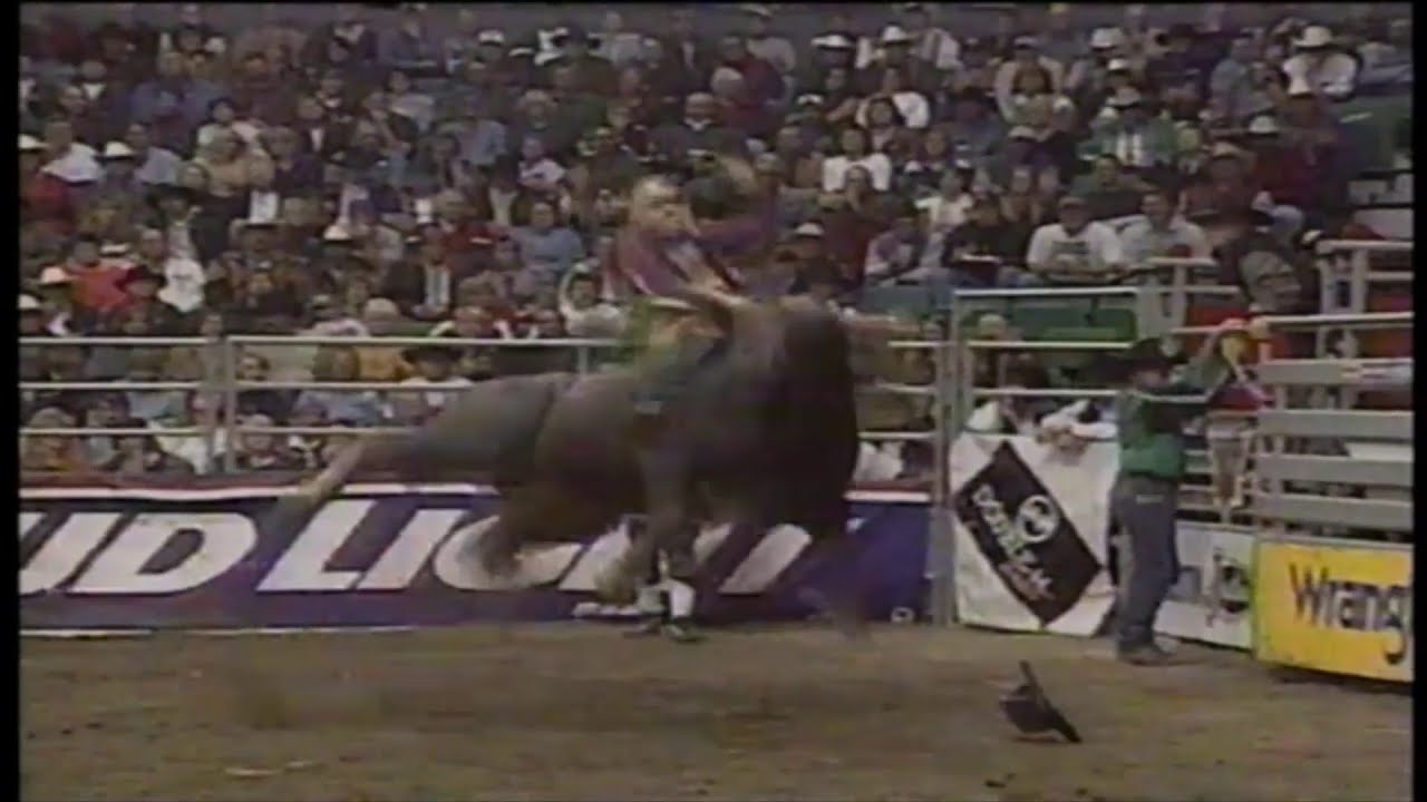 White Pages bucks Terry Don West - 98 PBR Calgary - YouTube