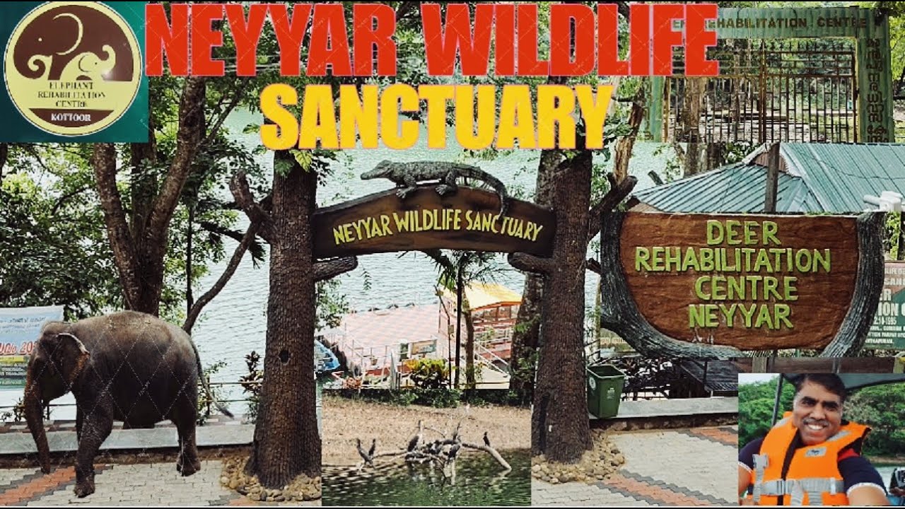 Neyyar Wildlife Sanctuary tour | Neyyar dam | Trivandrum tourism ...