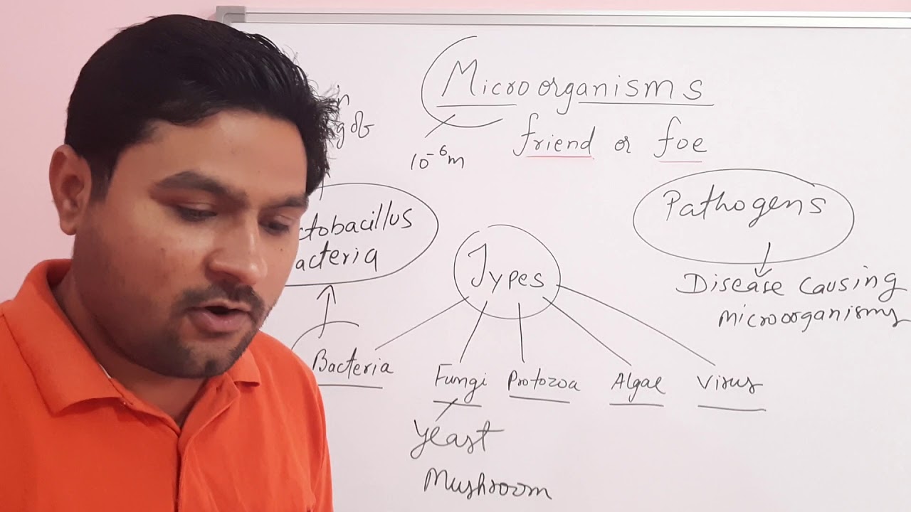 Microorganisms class 8 Science- Chapter 2|01|Hitendra Pandey - YouTube