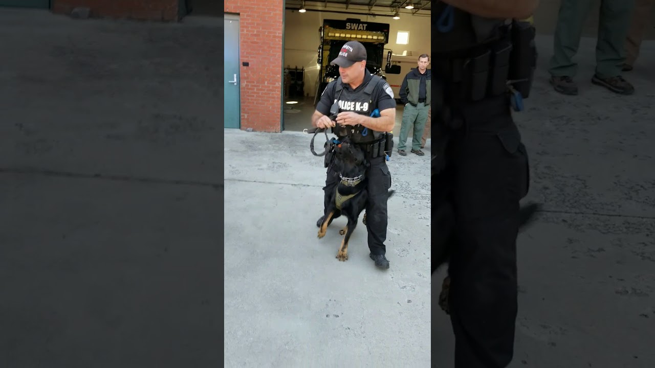 Alpharetta Police show off K9 Mattis - YouTube