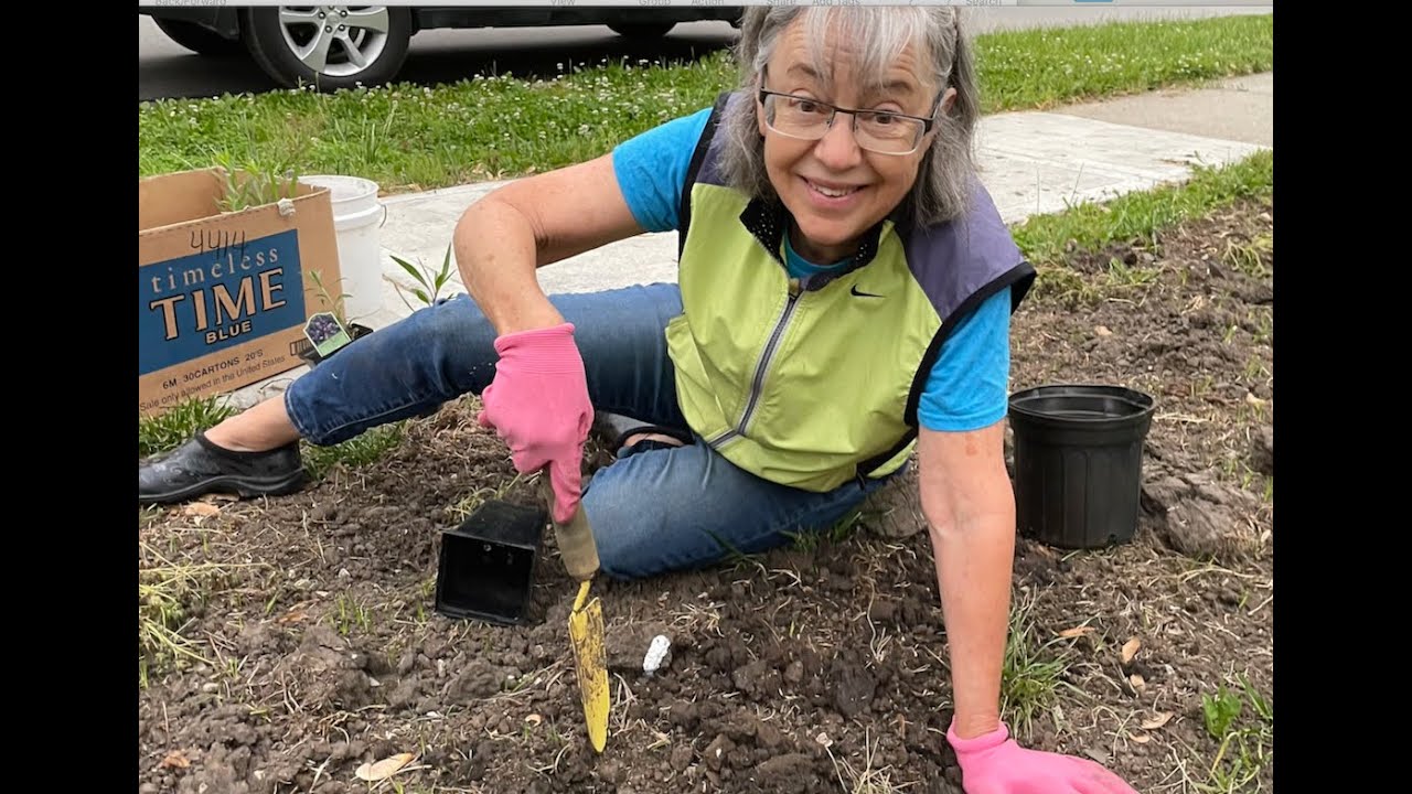 Seeds of Life garden '22 - YouTube