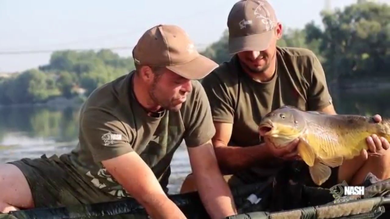 NASH 2016 - CARP FISHING IN FIUME - HD - YouTube