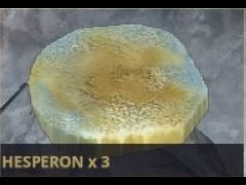 WARFRAME: FORTUNA MINING: BEST ROUTE - YouTube