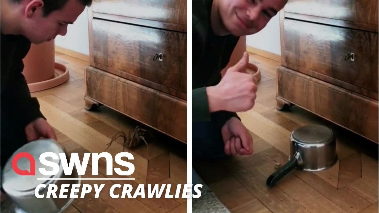 Swiss teen captures realistic looking spider created with visual ...