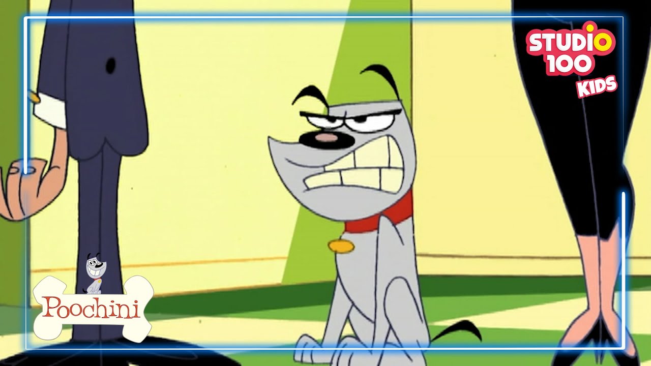 Der Piranha🐕 - Poochini - Studio100 KIDS - YouTube