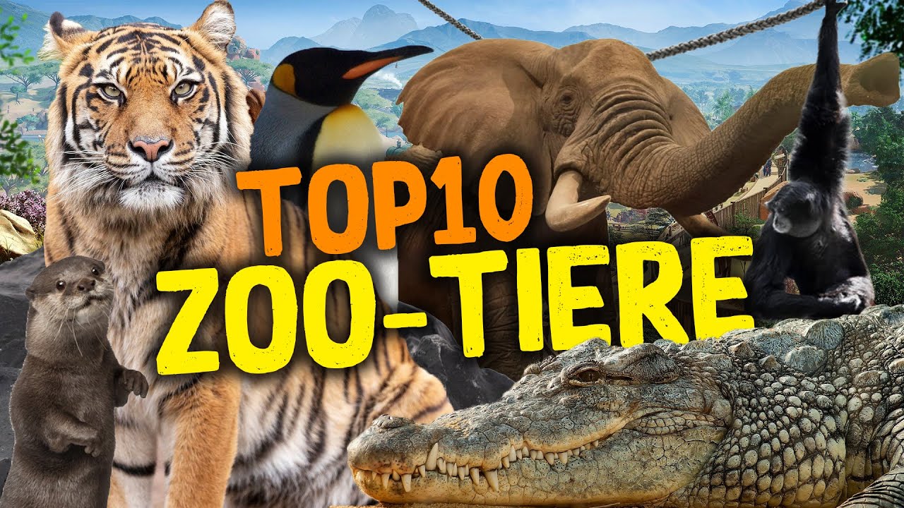 Unsere TOP 10 Zootiere! - YouTube