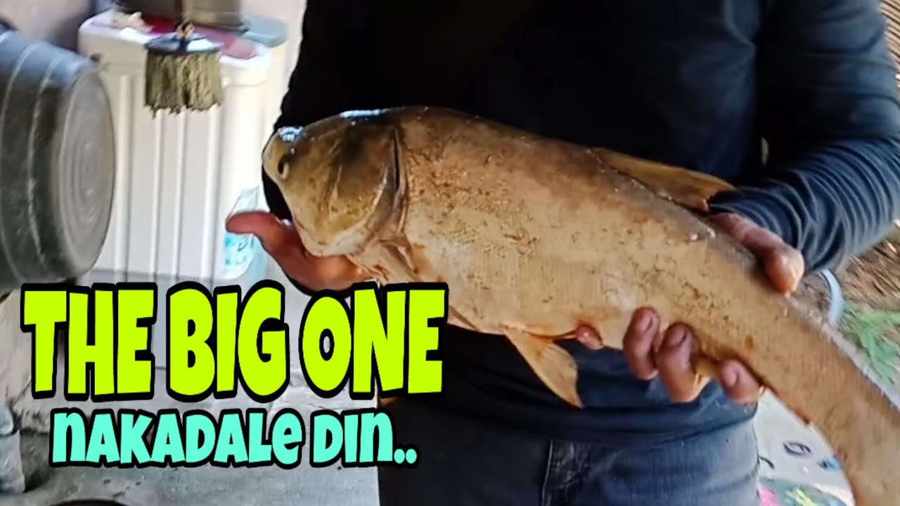 TIKSAY FISH HUNTING/THE BIG ONE..NAKADALE DIN SA HANGING BRIDGE/AIRGUN ...