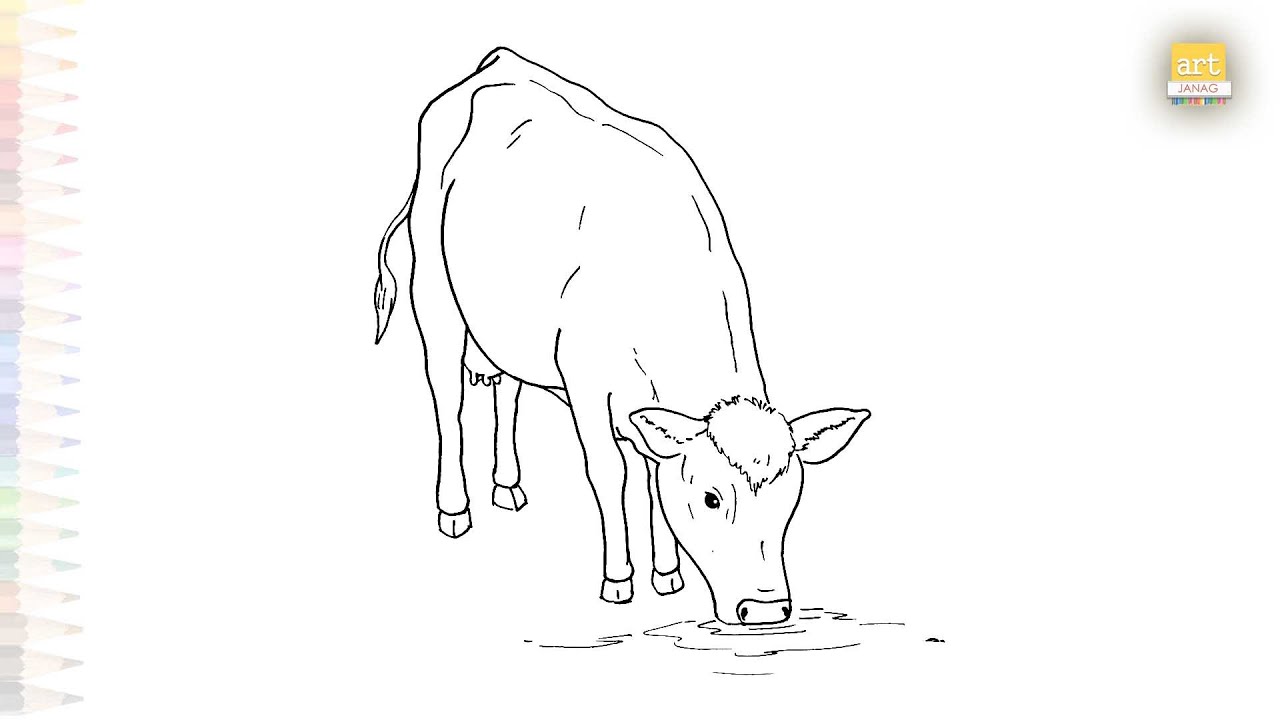 A Cow drinking water drawing easy | Animal sketches | How to draw A Cow ...
