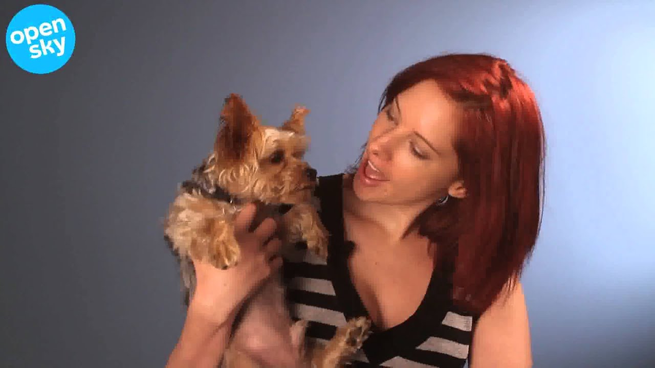 Becky Case Movie Quotes - YouTube
