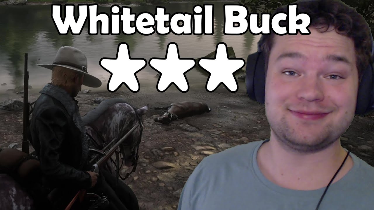 Perfect Whitetail Buck in Rdr2 online Let's Play - YouTube