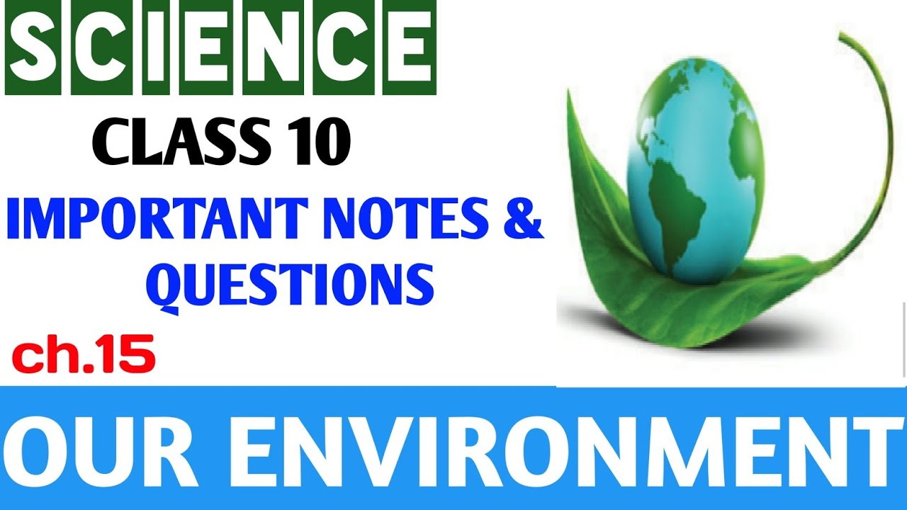 Science class 10 OUR ENVIRONMENT Important notes for board exam - YouTube