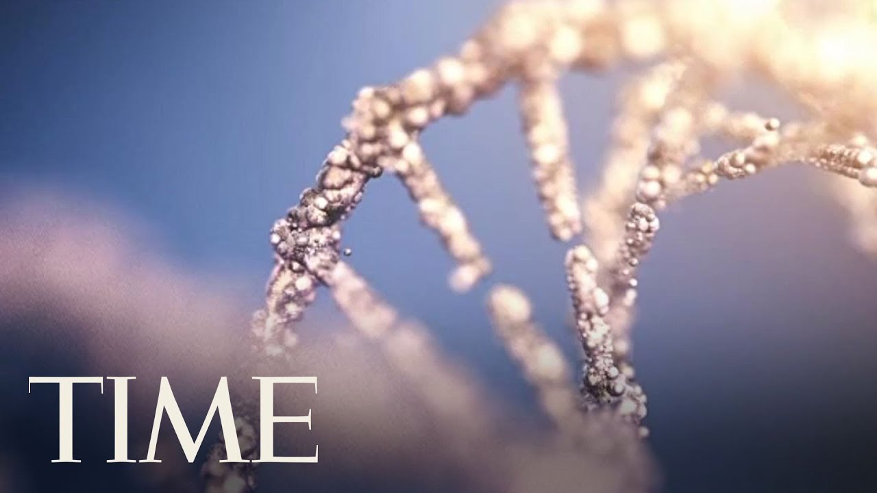 A Baby Was Born With DNA From 3 People: Here's How That’s Possible ...