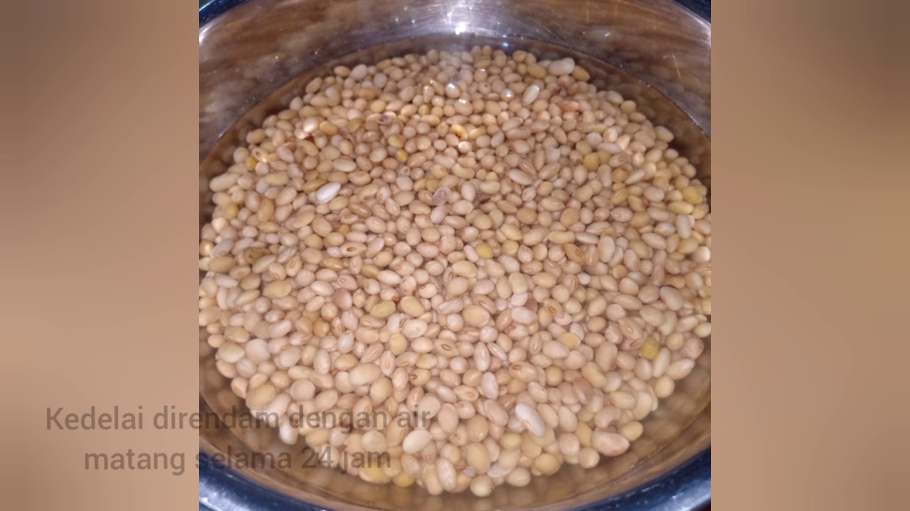 how to make tempe organic non GMO (gawe tempe dewe) - YouTube