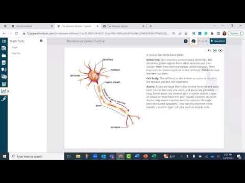 Getting Started with Courseware: Parent & Family Introduction - YouTube