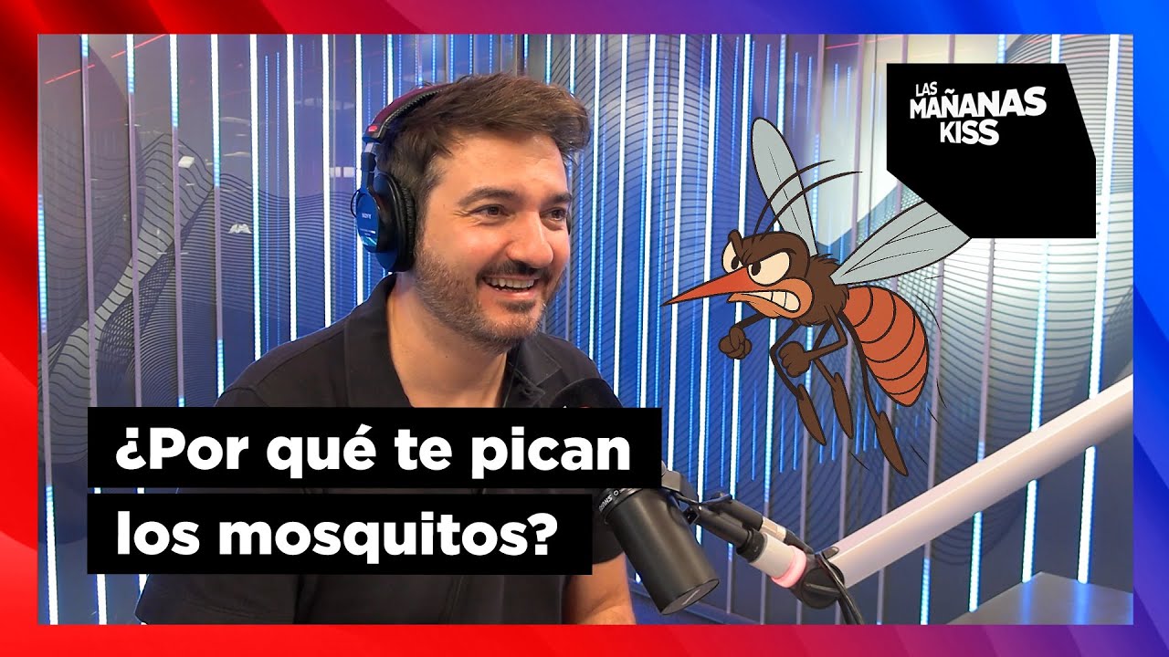 Lo que HICISTE anoche puede atraer MOSQUITOS 🦟 | Las Mañanas KISS - YouTube