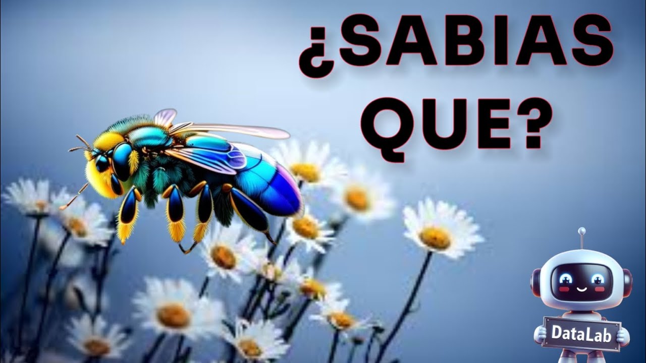 "Tesoros Alados: Descubriendo El Mundo De Las Abejas Azules De ...