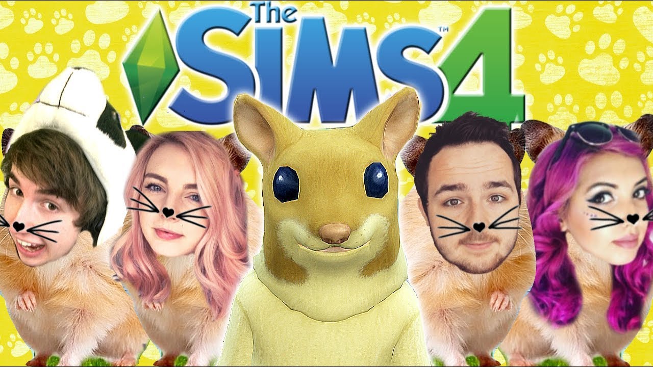 The Sims 4: Raising YouTubers as HAMSTERS & RODENTS (CAS, House Build ...