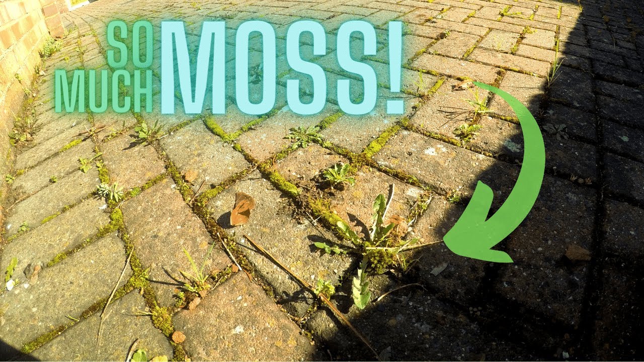 SO MUCH MOSS! Satisfying PRESSURE WASHING Transformation - Mossy Weedy ...