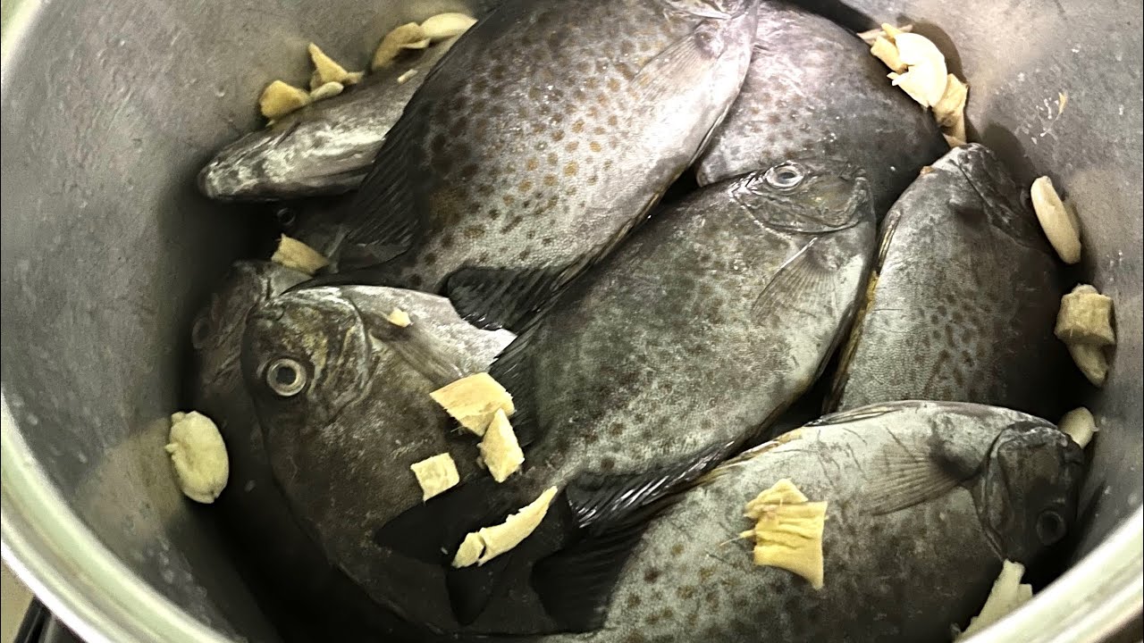 PAKSIW NA MALAGA AT KAPIGED | Lutong Ilocano - YouTube