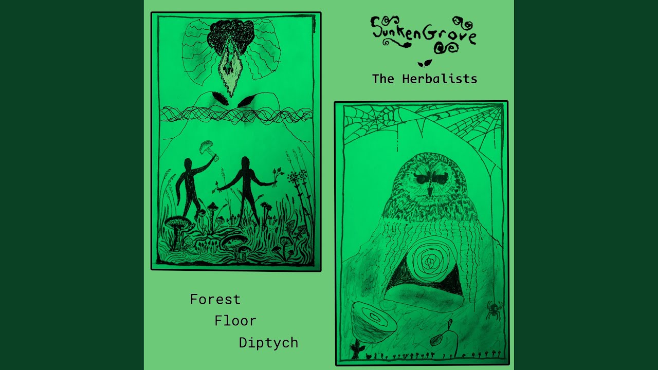 Rain Falling on Sycamore Leaves - YouTube