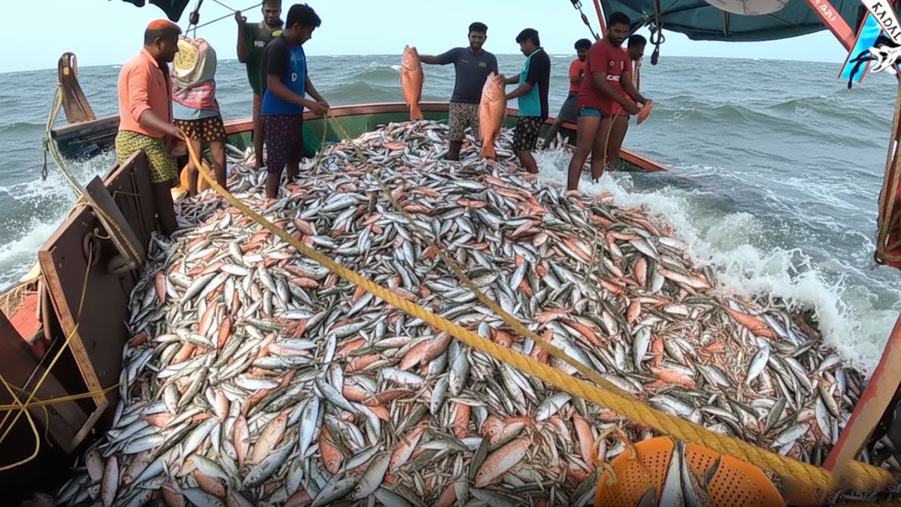 NEVER SEEN THIS! The Most OVERLOADED Fishing Boat in Manglore @KadalTv ...