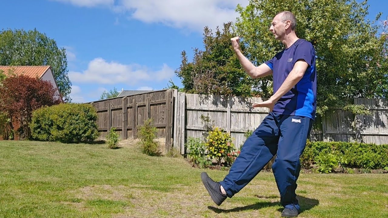 Yang Style 24 Step Form - Part 12 Block Parry Punch with very basic ...