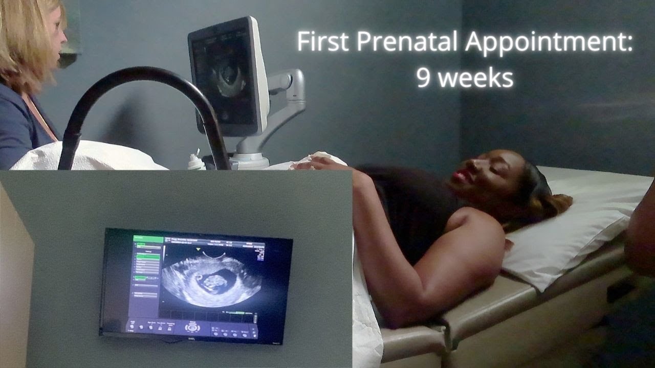 Pregnancy Update| My First Prenatal Appointment - YouTube