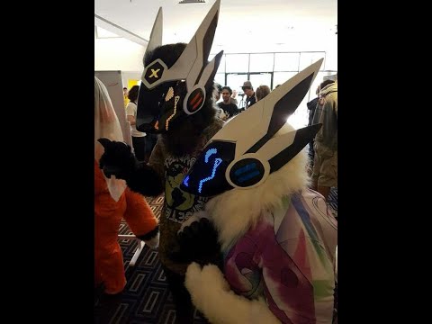 Furry Primagen DSG - YouTube