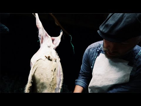 The (HARD) Reality of Farm Life ~ Killing our Sheep before the Parasites Do