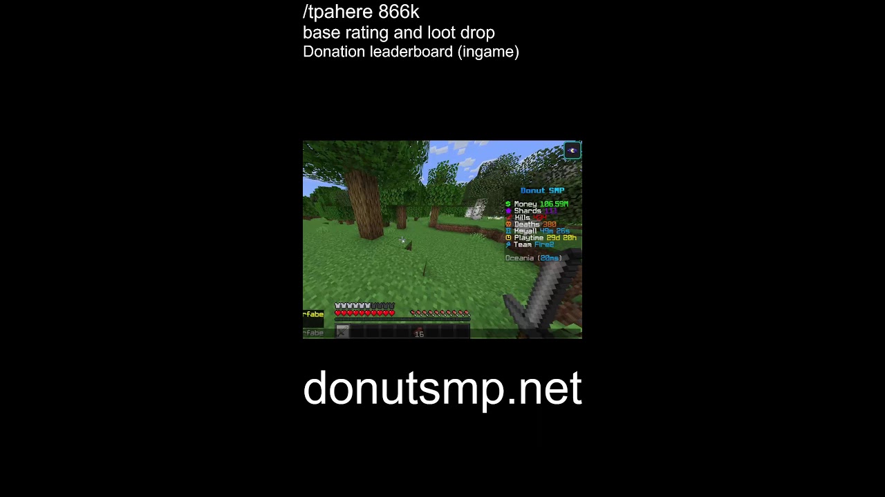 donutsmp rating base - YouTube
