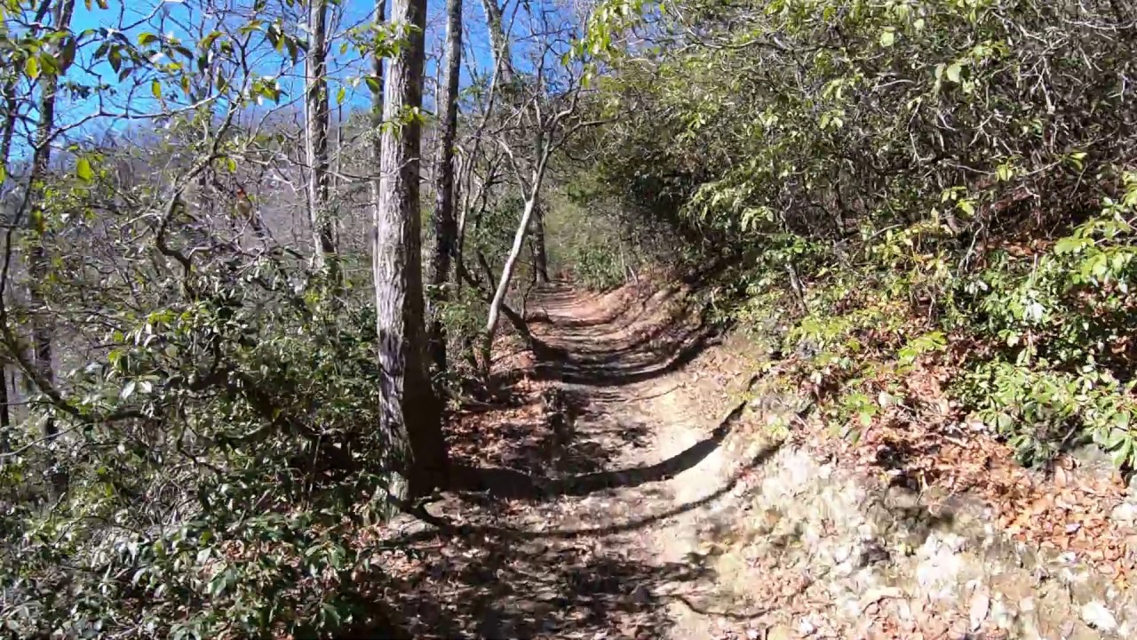 Hiking up Looking Glass Rock Trail in Pisgah National Forest (Unedited ...