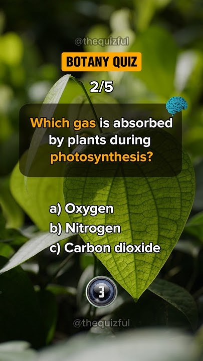 Botany Quiz Challenge #quiz #triviatime #quiztime #botany #botanyquiz ...