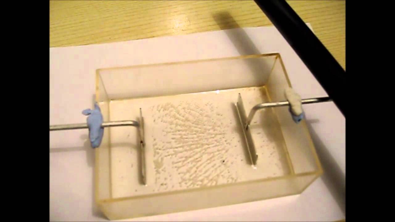 5 ProFizika Elektromos kölcsönhatás - YouTube