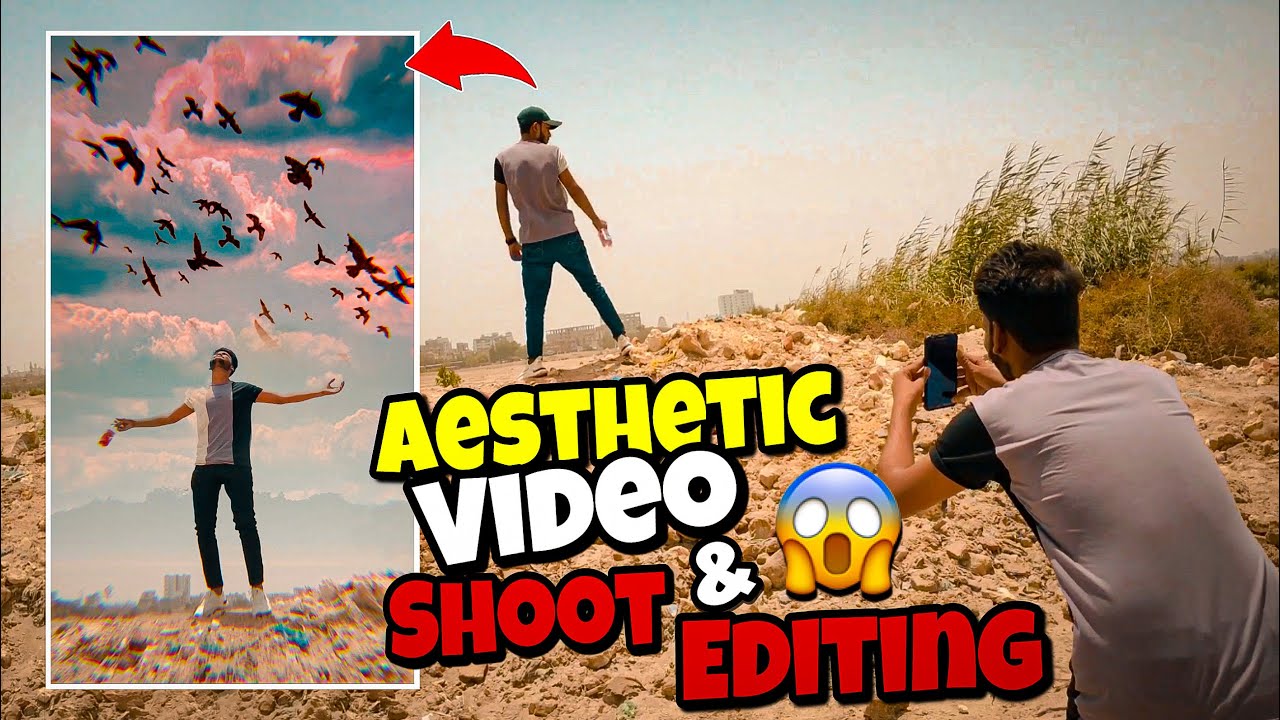 Instagram Aesthetic Reels birds Vfx Video Shoot and Editing | Aesthetic ...